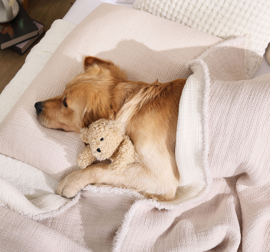 Muslin Cotton Quilt – Sunday Citizen